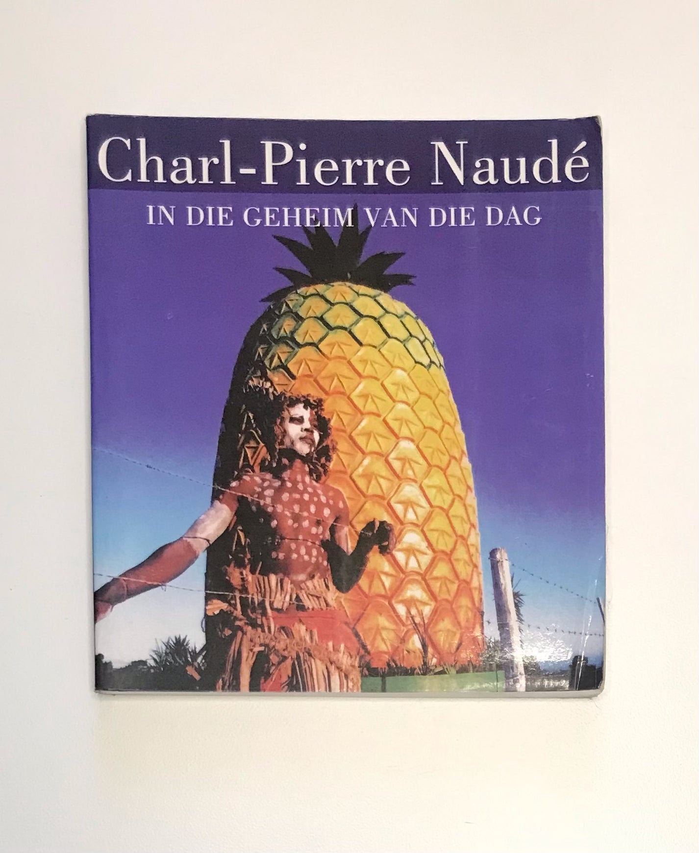 In die geheim van die dag - Charl-Pierre Naudé – The Story Station